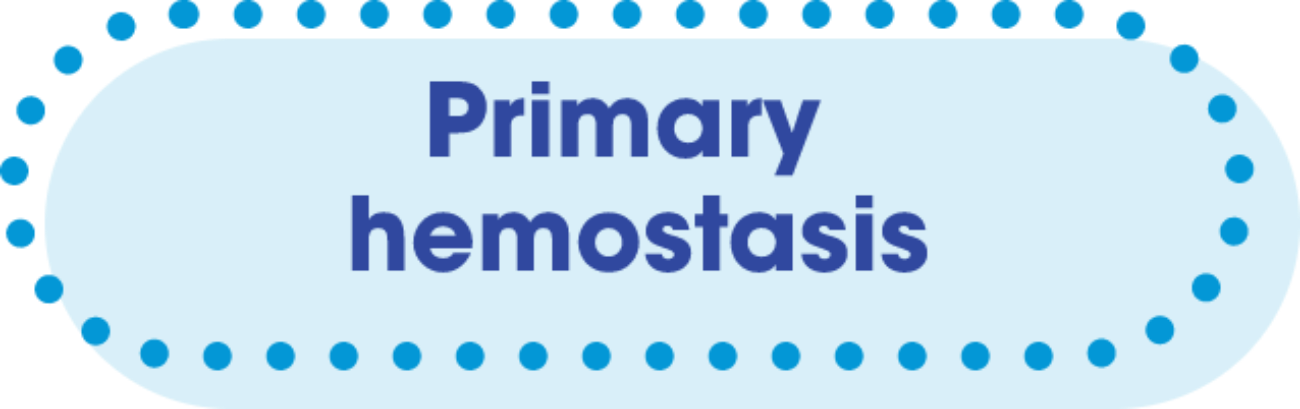 Clotting Cascade: How Blood Clots Form