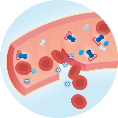 Clotting Cascade: How Blood Clots Form
