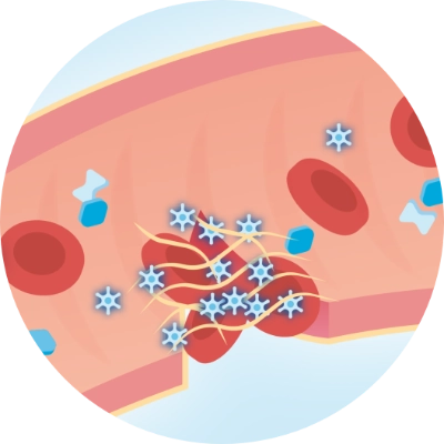 Clotting Cascade: How Blood Clots Form
