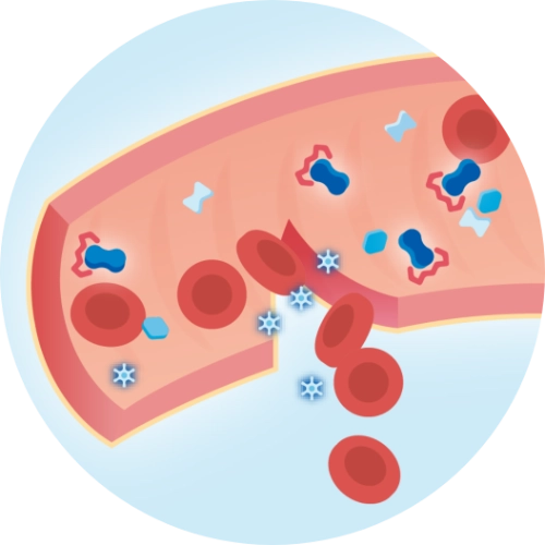Clotting Cascade: How Blood Clots Form