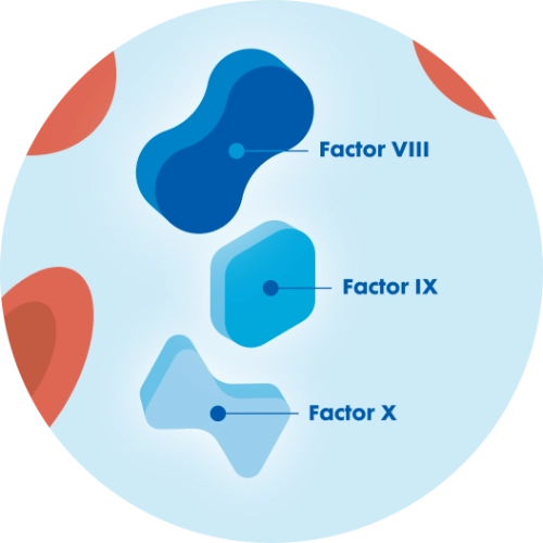 Clotting Cascade: How Blood Clots Form