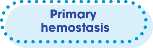 Clotting Cascade: How Blood Clots Form