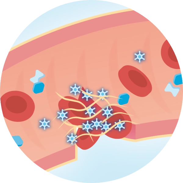 Clotting Cascade: How Blood Clots Form
