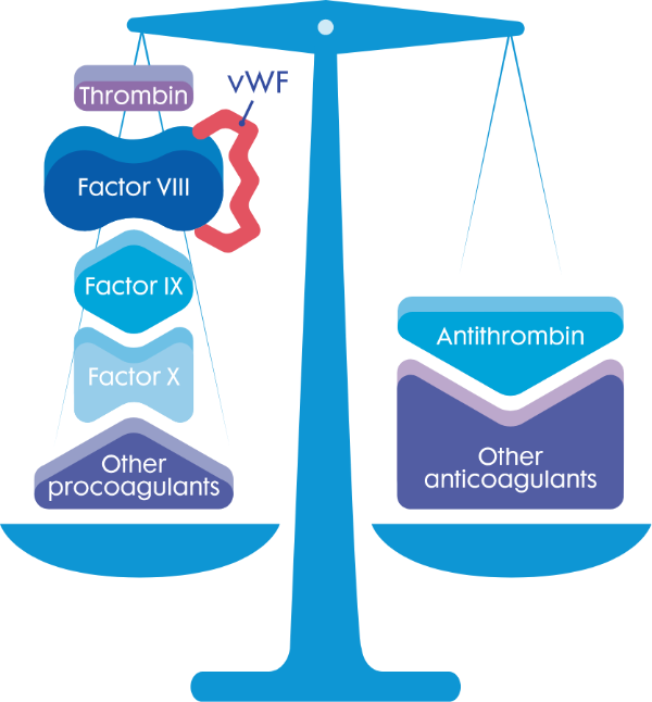 Clotting Cascade: How Blood Clots Form