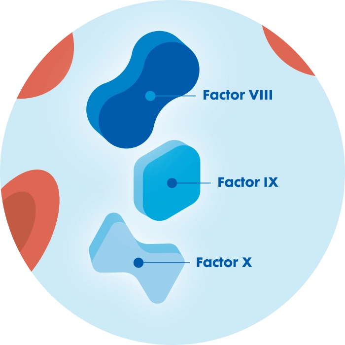 Clotting Cascade: How Blood Clots Form