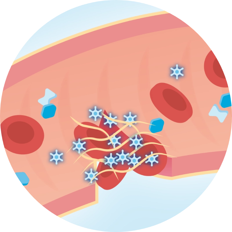 Clotting Cascade: How Blood Clots Form