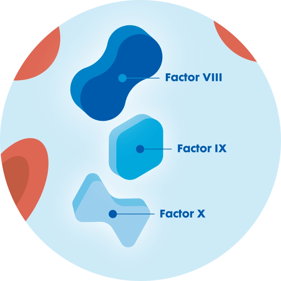 Clotting Cascade: How Blood Clots Form